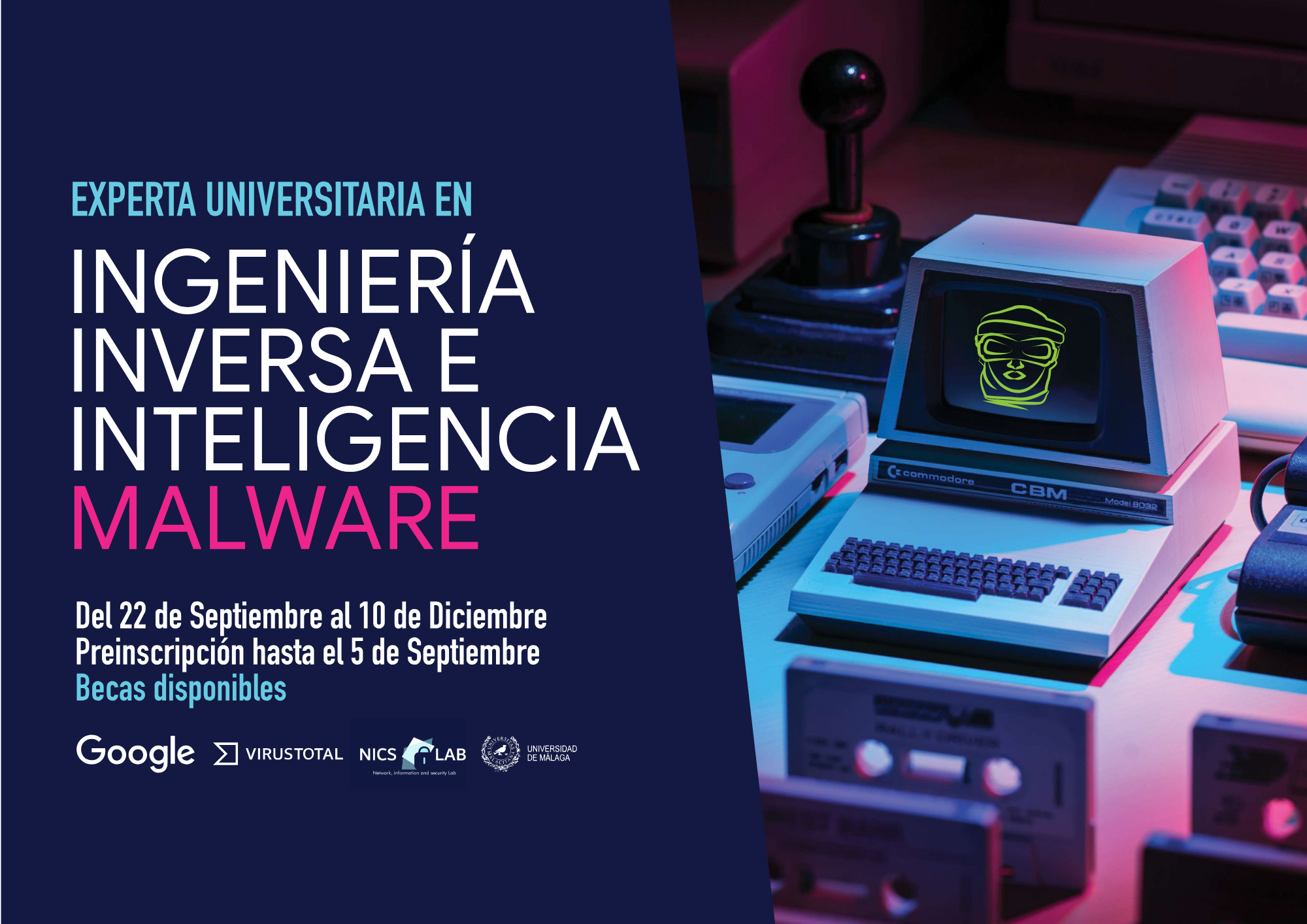 VII Edición. Diploma experto en Ingeniería Inversa e Inteligencia ...